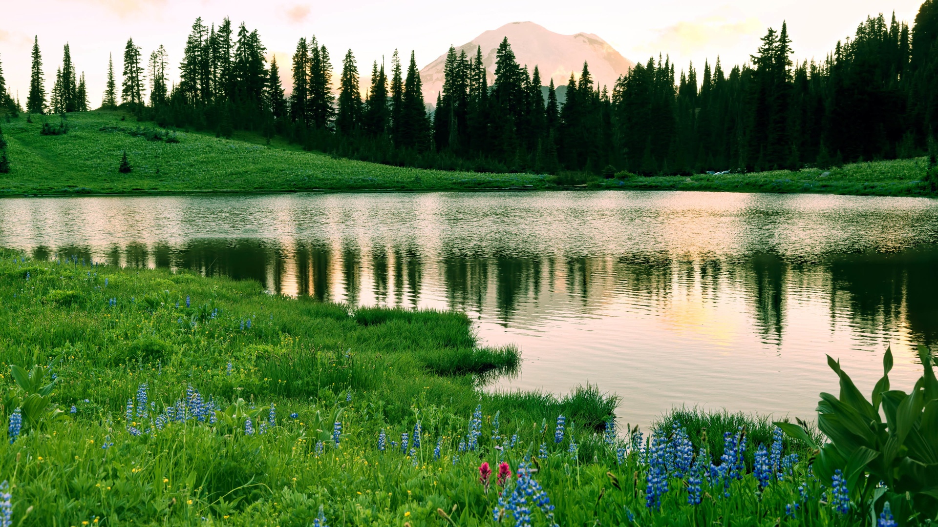 湖水 草地 4K专区壁纸湖水壁纸图片_桌面壁纸图片_壁纸下载-元气壁纸